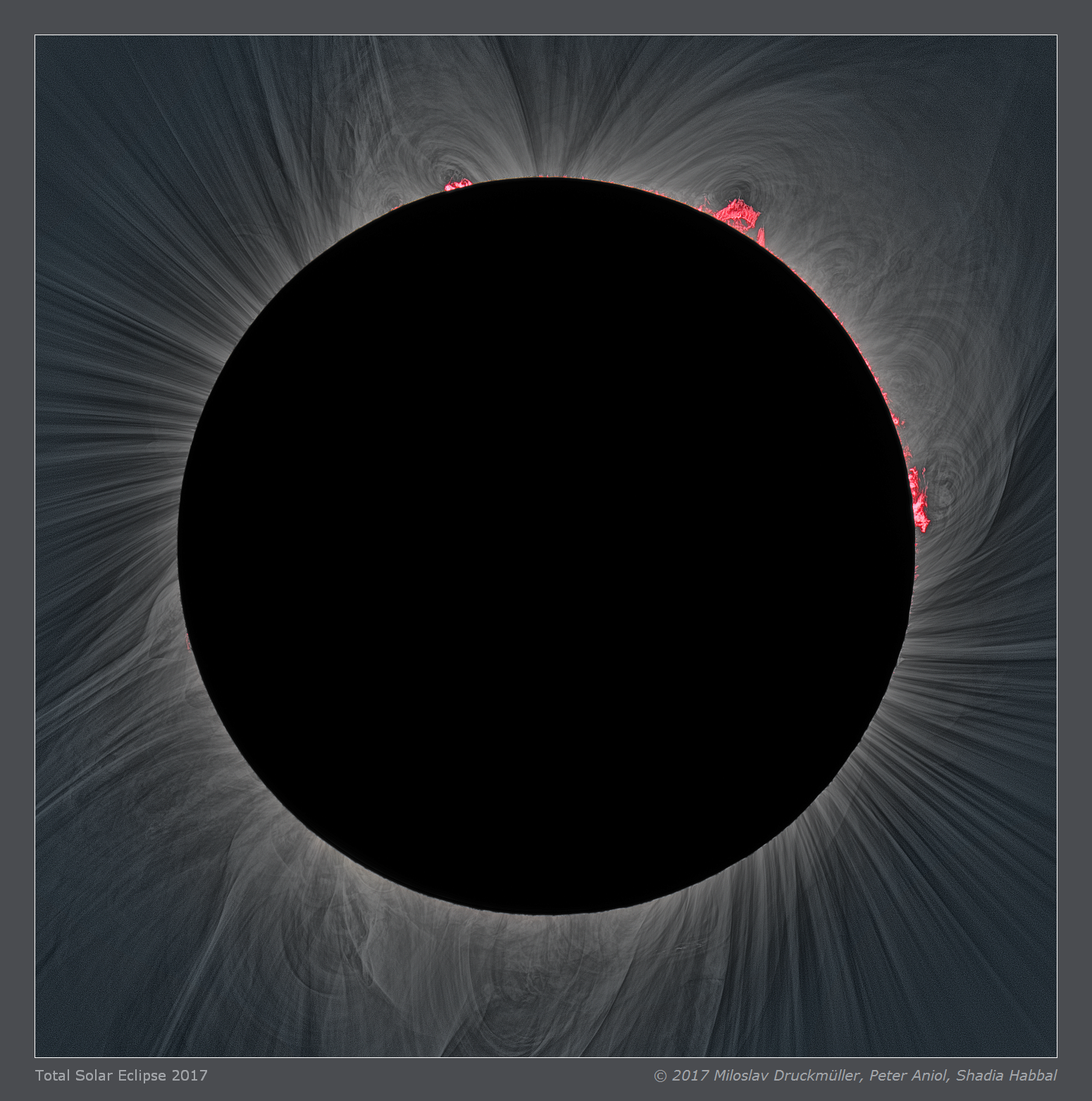 Total Solar Eclipse 2017 image, Prominences and inner Corona